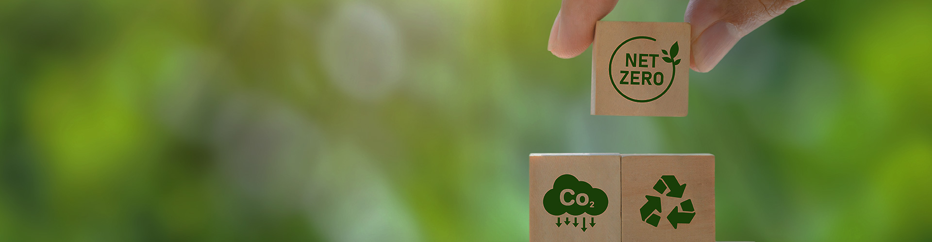 Decarbonisation Planning - Vectur Energy