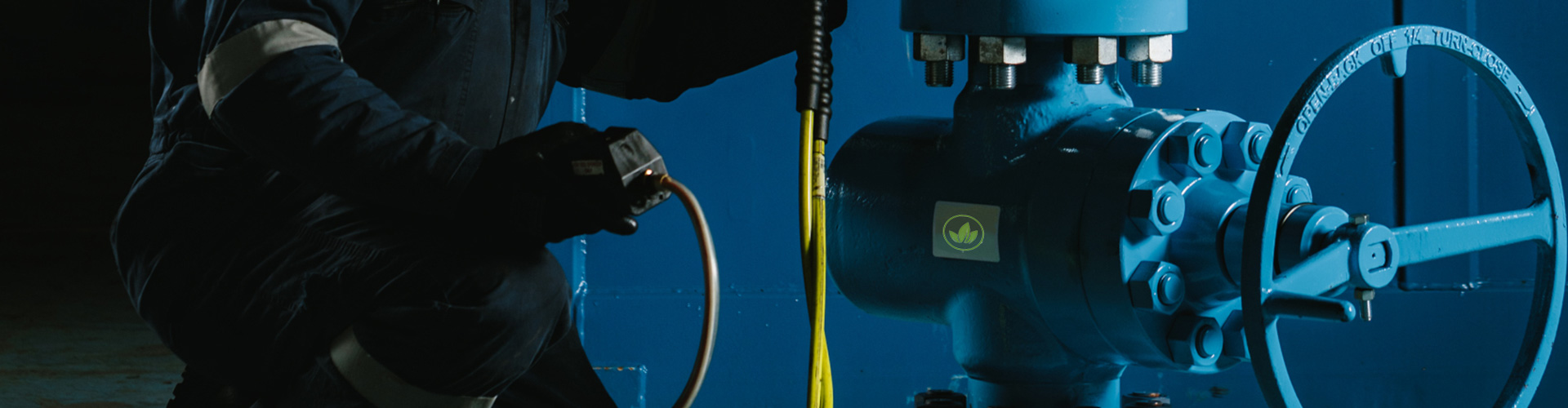 Well Integrity Services - Vectur Energy